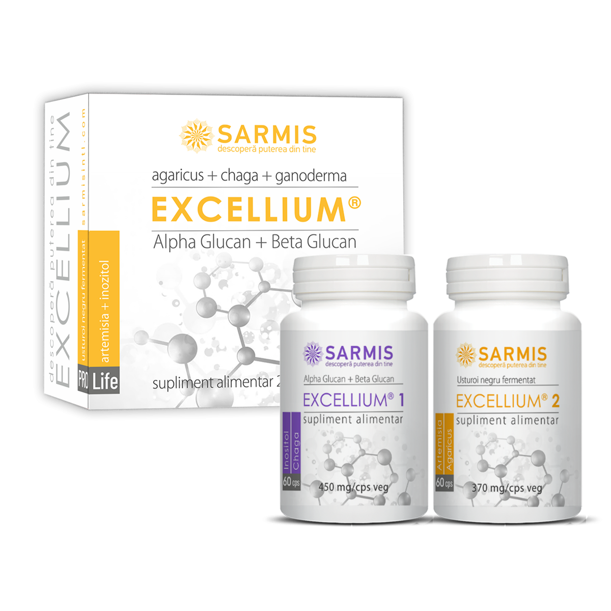Sarmis Evolution